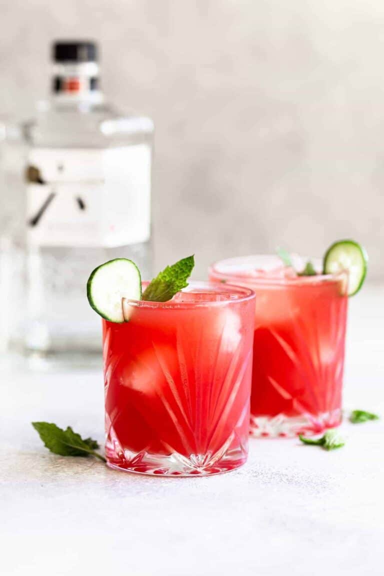 Watermelon Gin Cocktail - The Movement Menu